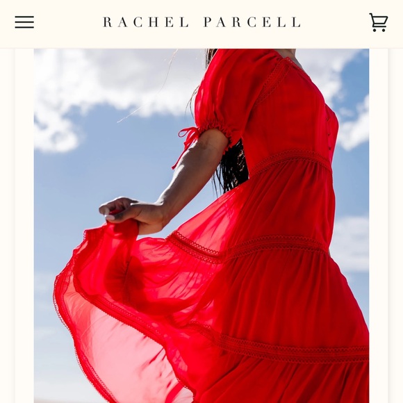 Rachel Parcell | Dresses | Rachel Parcell Sheer Sleeve Chiffon Dress ...